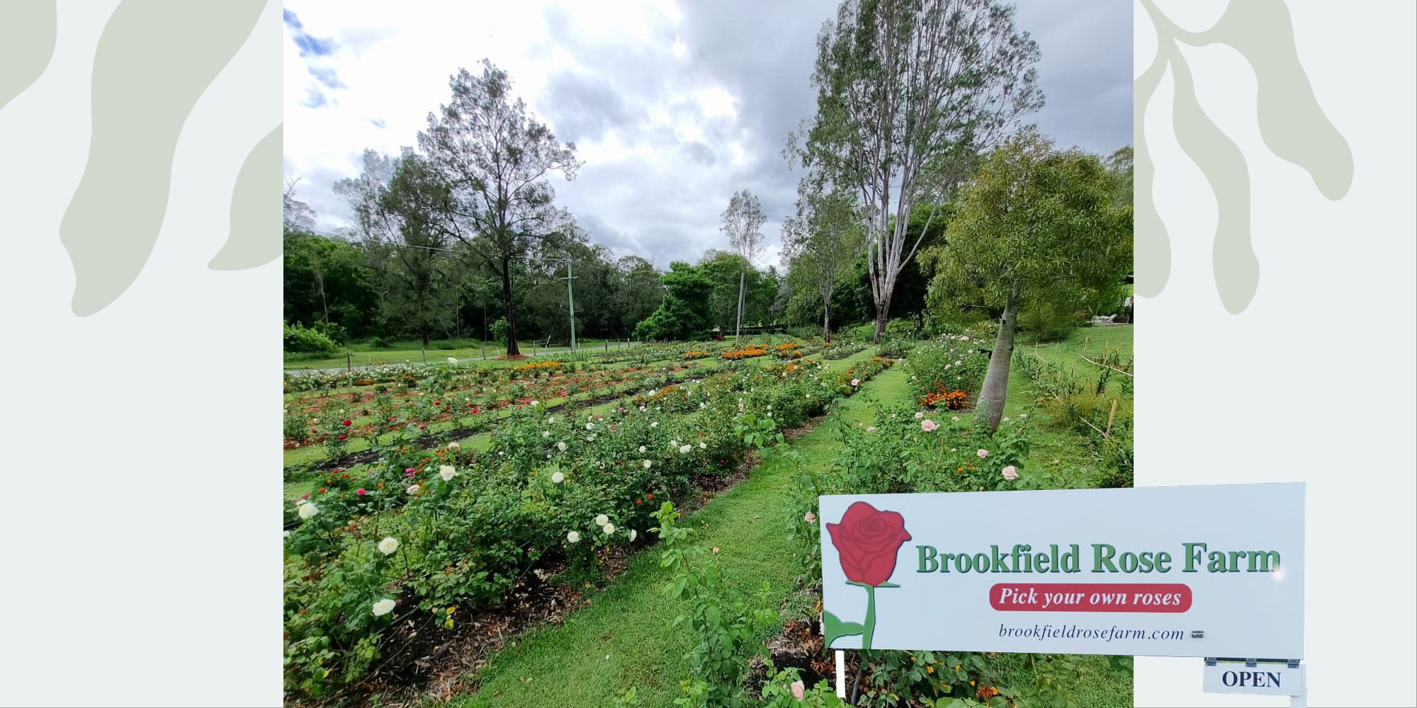 Open Air Sculpture Gallery at Brookfield Rose Farm