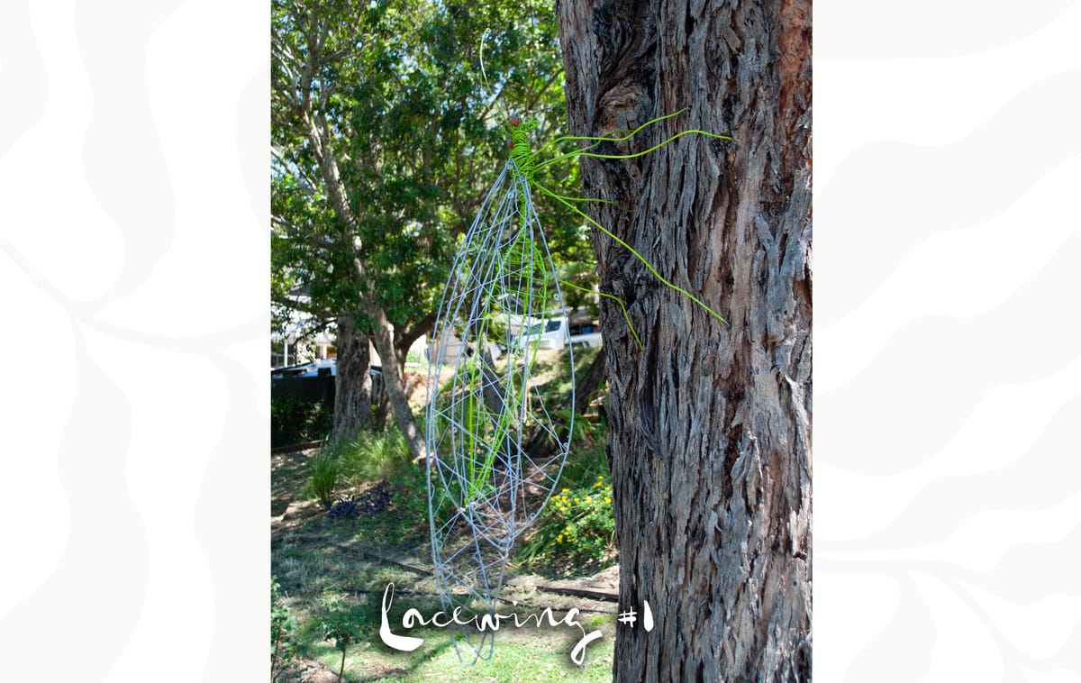 Lacewing #1 - Russell Solomon